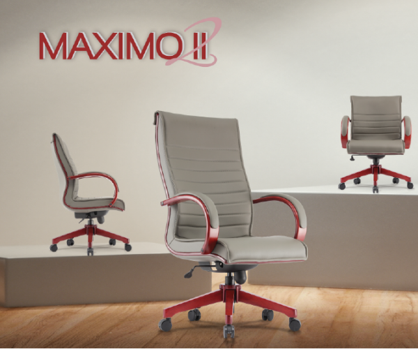 Maximo 2 Low Back Chair (Half Leather) - #advancedidea | online ...